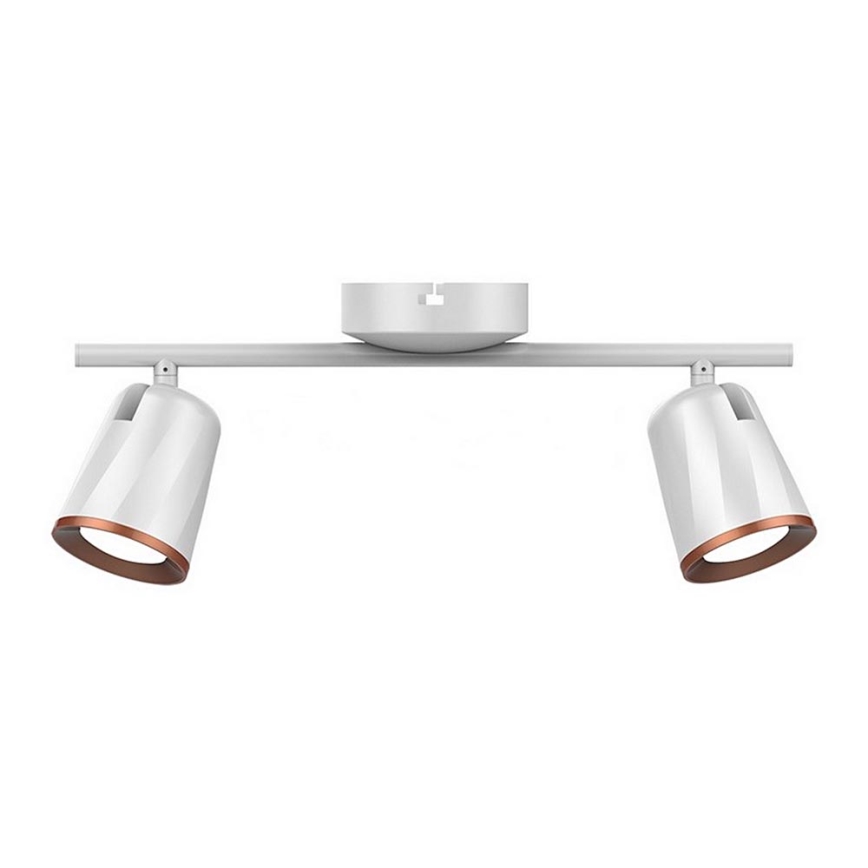 LED Spotlight 2xLED/6W/230V | Beleuchtung.de